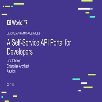 A Self Service Api Portal For Developers Pdf