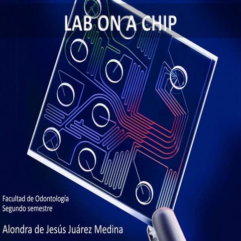 Lab On A Chip | PPSX