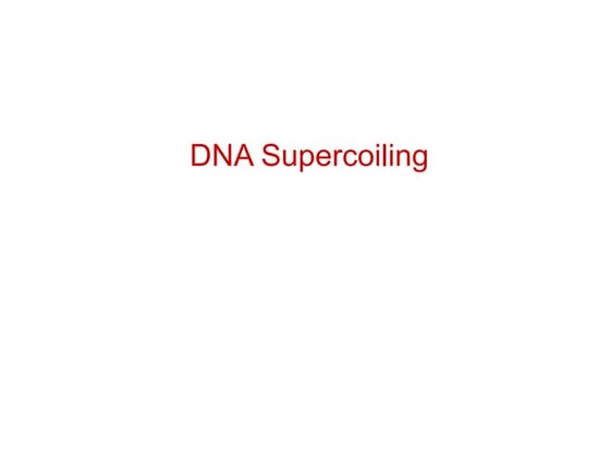 DNA Supercoiling | PPTX | Chemistry | Science