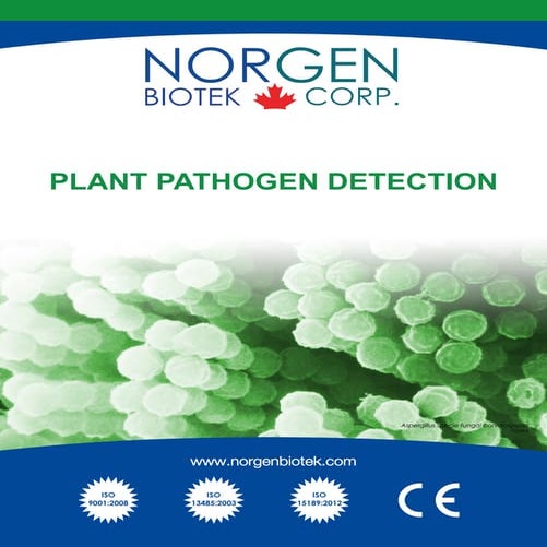Plant diseases | PDF