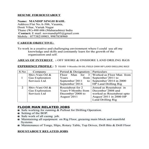 Mandip-Resume. | DOC