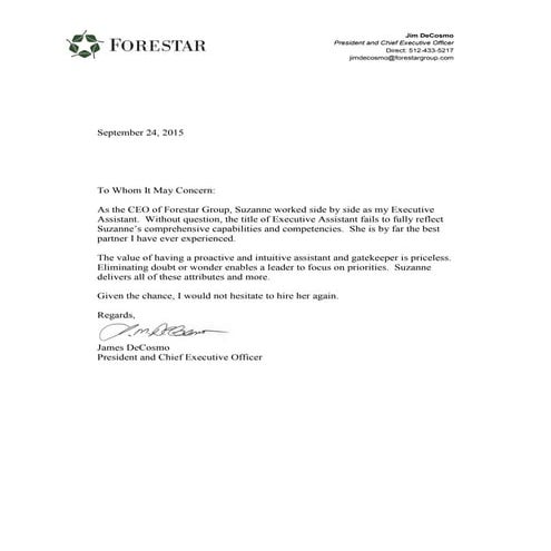 Letter of Recommendation - CEO | PDF | Business Administration | Business