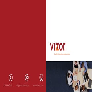 vizor-brochure | PDF