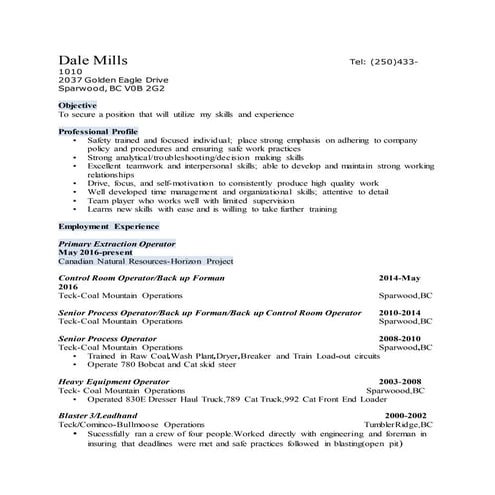 Chronological resume | DOCX