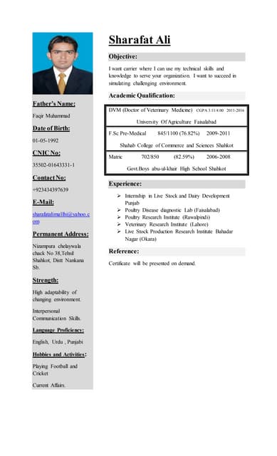 resume mohit | PDF