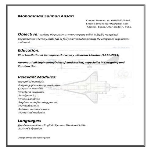 Mohammad-Salman-Ansari | PDF