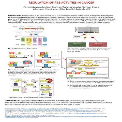 REGULATION OF P53 ACTVITIES IN CANCER | PPTX