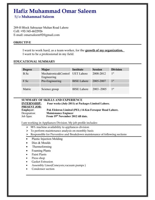 Cv Of Muhammad Saleem | PDF