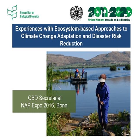 Experiences with Ecosystem-based Approaches to Climate Change ...