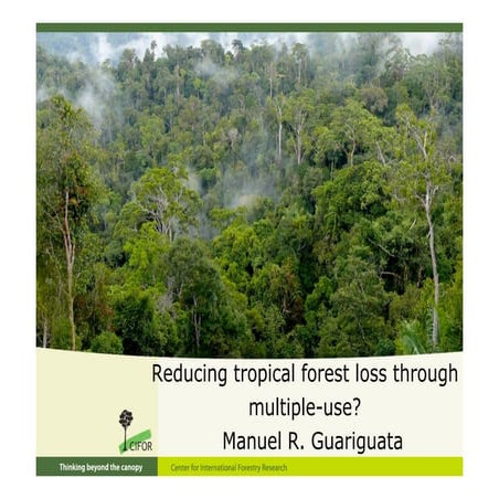 Reducing tropical forest loss through multiple use? | PDF