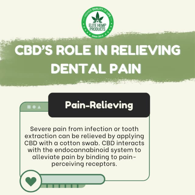 CBD for Tooth Pain: A True Remedy or a False Hope? | PDF