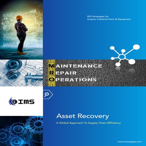 IMS Brochure 2017_L | PDF