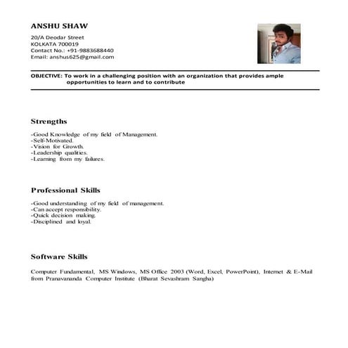 Anshu Shaw CV | PDF
