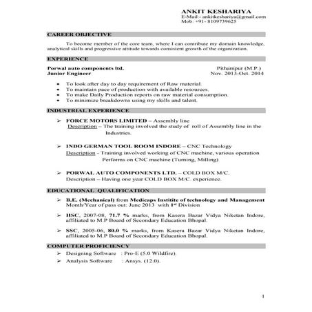 Ankit cv | PDF