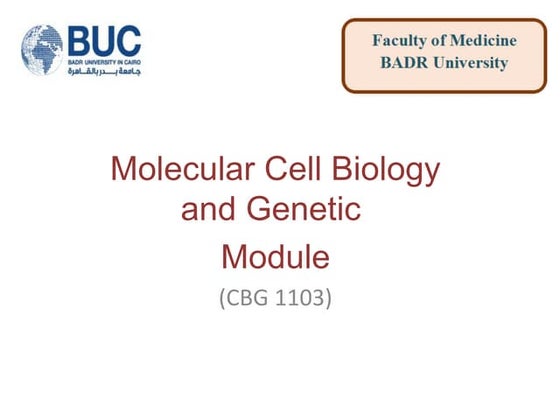 Nucleic Acids: Basics and Functions in cell | PPTX