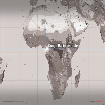 Congo Basin Initiative | PDF