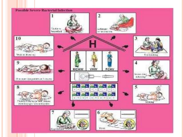 IMCI Chart Booklet.pdf