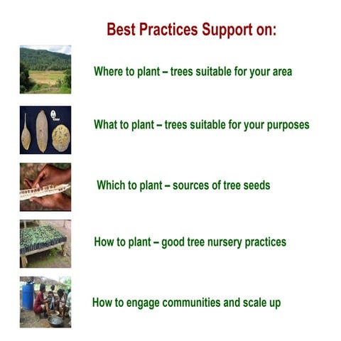 Cbp Best Practice Summary | PPT