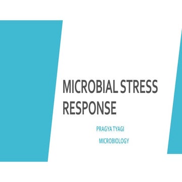 Microbial stress response | PPTX