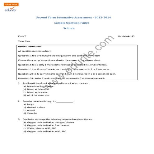 Class 4 CBSE EVS Sample Paper Term 2 Model 2 | PDF