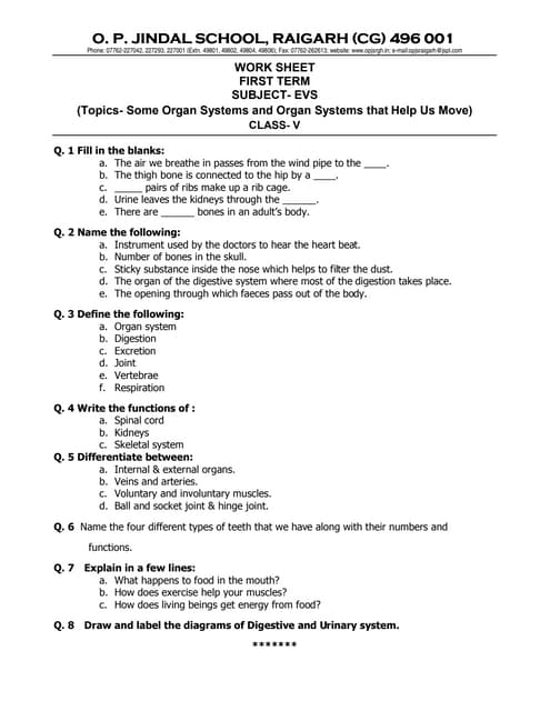 Human Body Class 2 EVS Worksheet.pdf