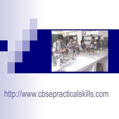 Cbsepracticalskills | PPT