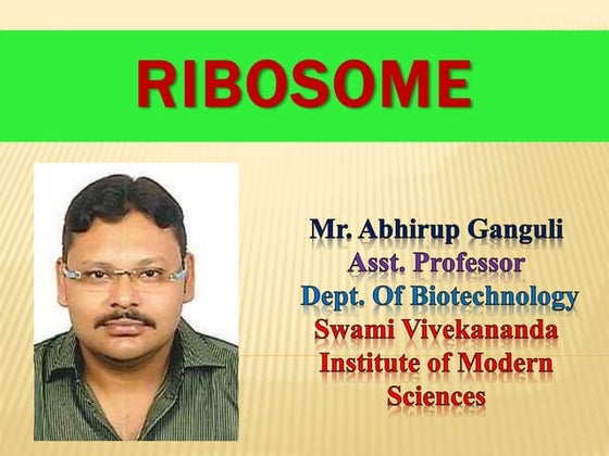 Ultra-structure of Ribosomes and functions | PPTX | Biological Sciences ...