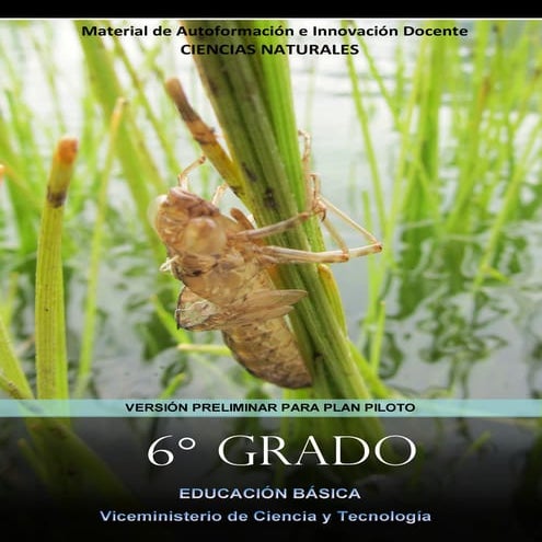 CIENCIAS 6 | PDF