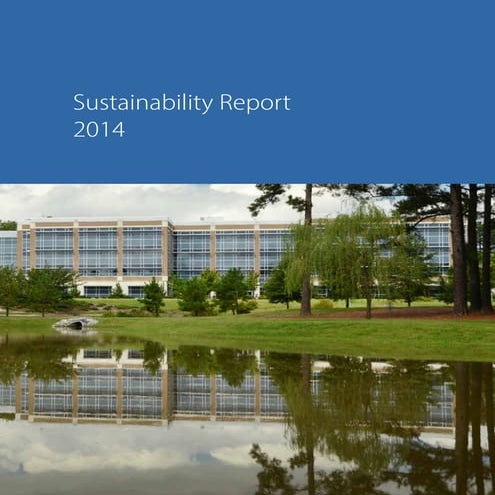 Sustainability Success Story | PDF