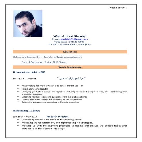 wael diab CV(1) | DOCX | Television | Entertainment