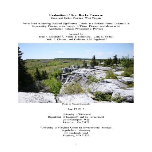 Bear Rocks | DOCX