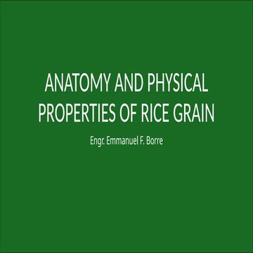 ANATOMY AND PHYSICAL PROPERTIES OF RICE GRAIN (1).pptx