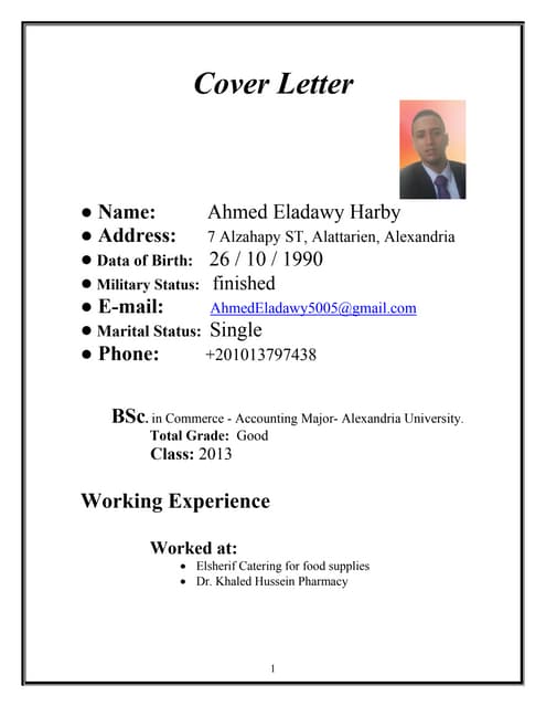 CV OF AL AMIN | PDF