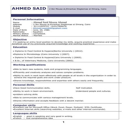 AHMED cv 2010 | PDF