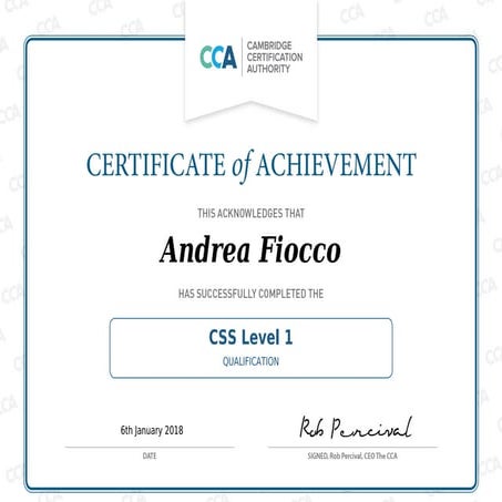 Cca certificate-css level 1 | PDF