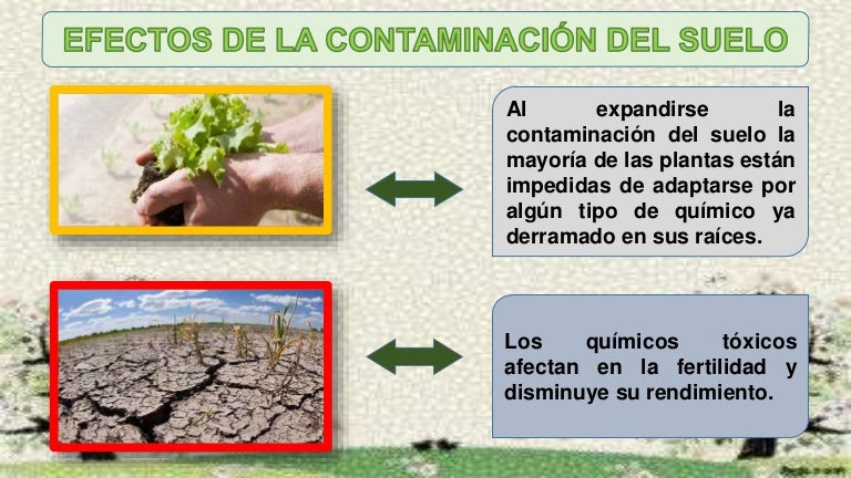 consecuencias de la contaminación del suelo