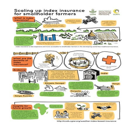 Infographic: How index insurance can help smallholder farmers | PDF