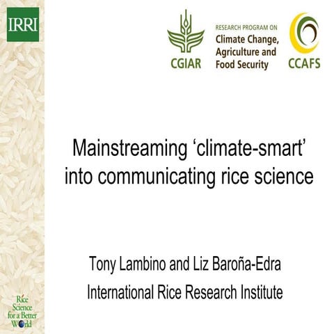 Mainstreaming ‘climate-smart’ into communicating rice science | PDF