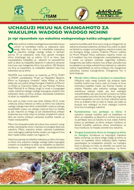 CCAP in Tanzania | PPT