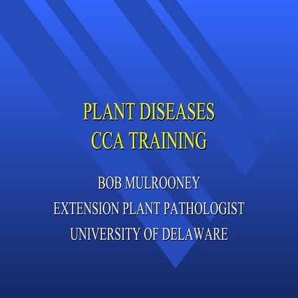 Cca training diseases2 | PPT