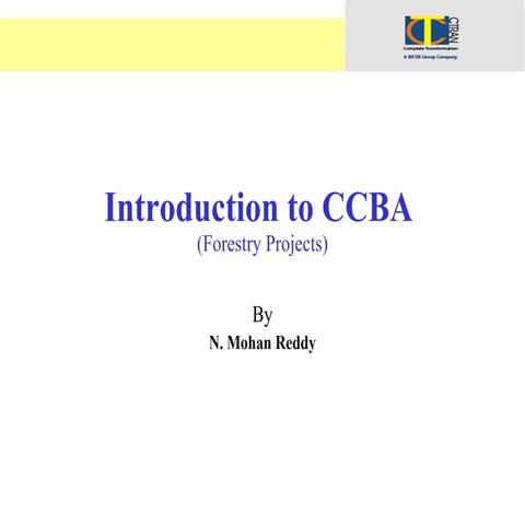 CCBA | PPT