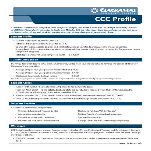 Ccc profile sheet | PDF