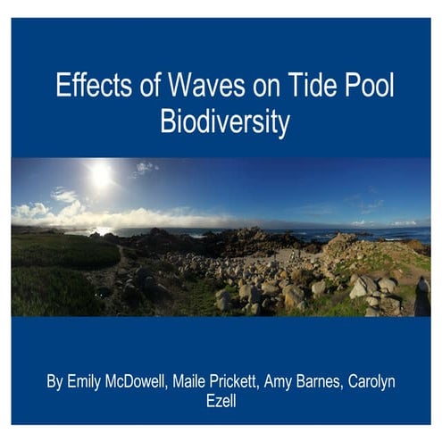 EMAC Tide Pools | PDF