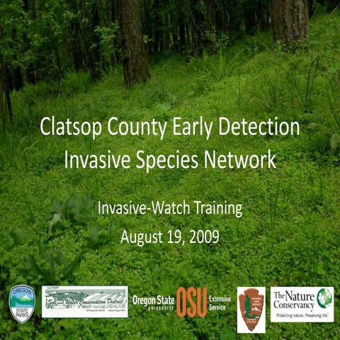 Invasive spp. Early Detection for Longview Timber 4.29.10