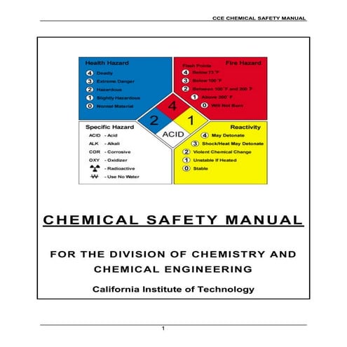 Guidelines for safe warehousing of chemicals | PDF
