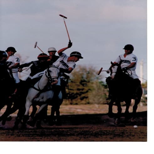 Robert V Matthews Polo Player | PDF