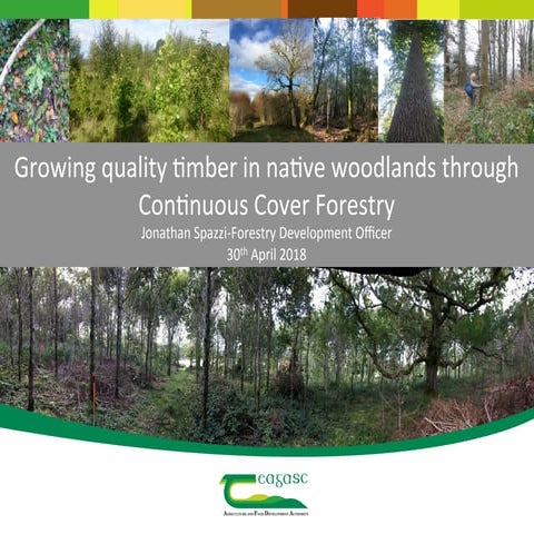 Continuous Cover Forestry in Native Irish Woodland, 2018 | PDF