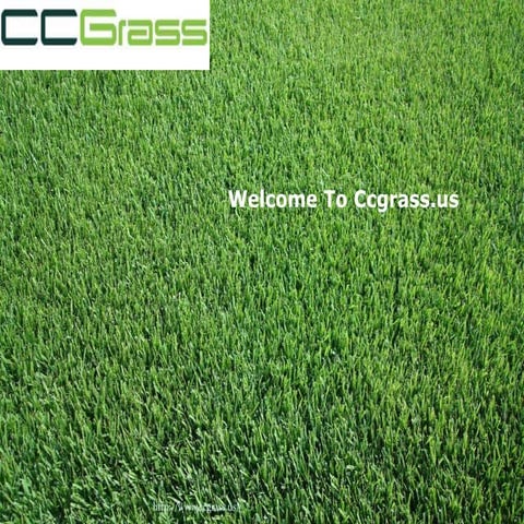Ccgrass presentation | PPTX