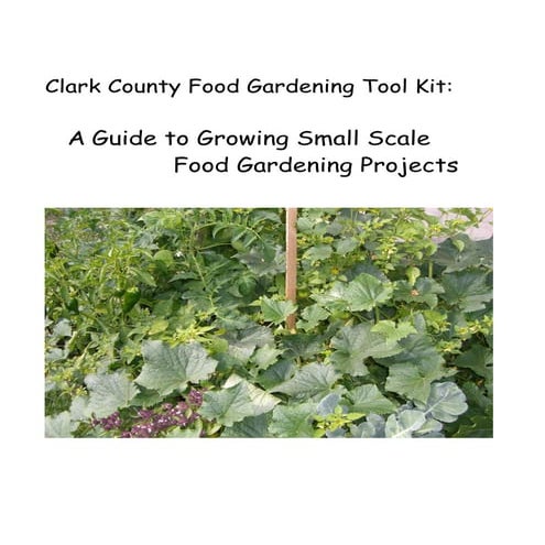 A Guide to Growing Small Scale Food Gardening Projects - Food Gardening ...