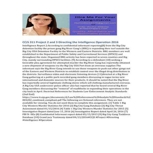 CCJS 311 Project 2 and 3 Directing the Intelligence Operation.docx | Crime & Harmful Acts to ...
